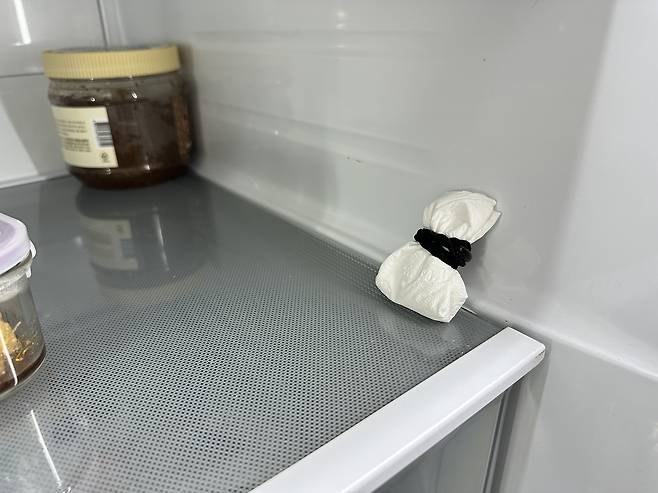 냉장고에 화장지를 넣으면 냄새가 사라진다는 사실을 알았습니다 생활의지혜