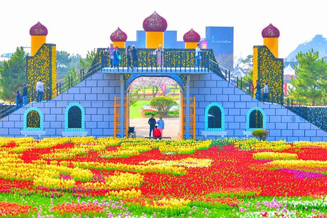 올해 꽃축제 중 진짜 1등” 270만 송이 튤립이 핀 국내 최대 봄 축제 여행을말하다