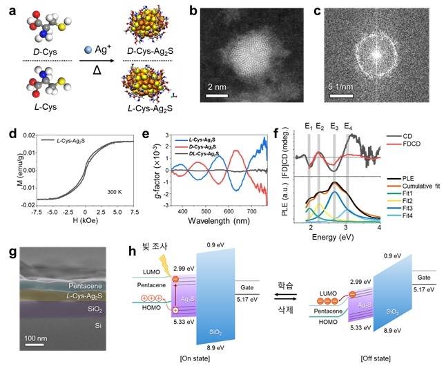 KAIST, 카이랄 자성 양자점 개발…고성능 AI에 활용