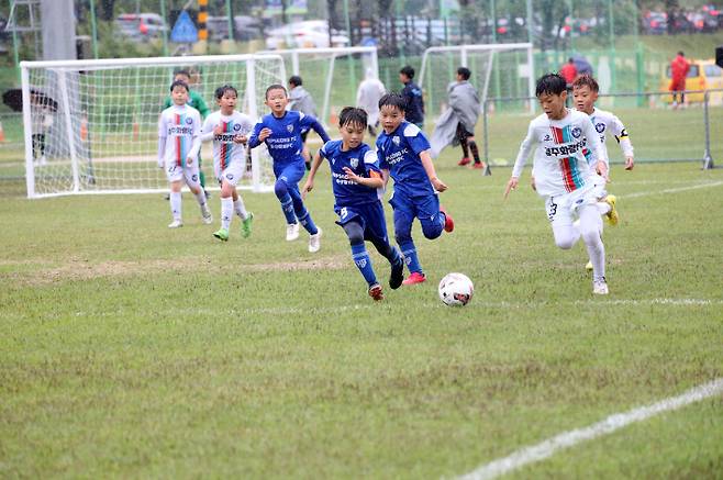 경주시 '화랑대기 U10·U9 축구 페스티벌' 개최…82개팀 참가