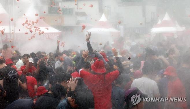 화천토마토축제 성료관광객 12만명 찾아 더위사냥